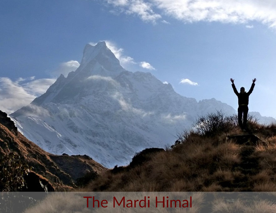 NepalaYak | The Himalayas come to you