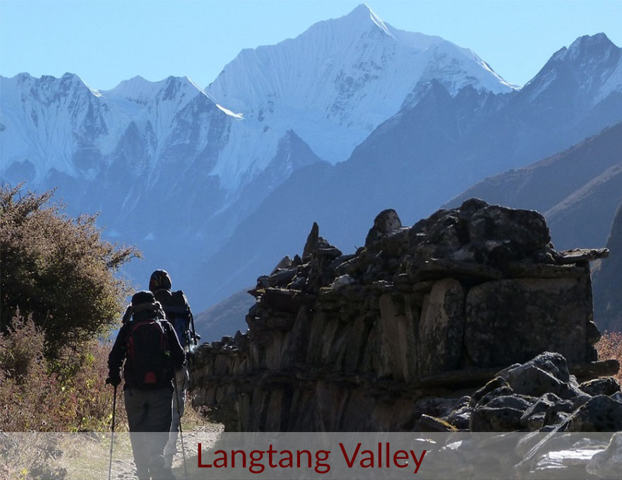 NepalaYak | The Himalayas come to you